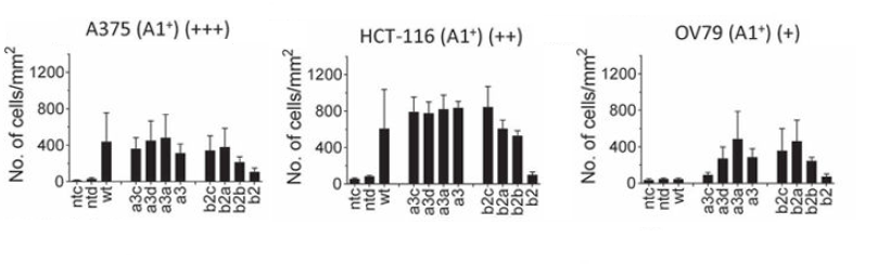 首款TCR-T细胞疗法上市！跟随细胞治疗之父，领略活细胞成像风采医药新闻-ByDrug-一站式医药资源共享中心-医药魔方