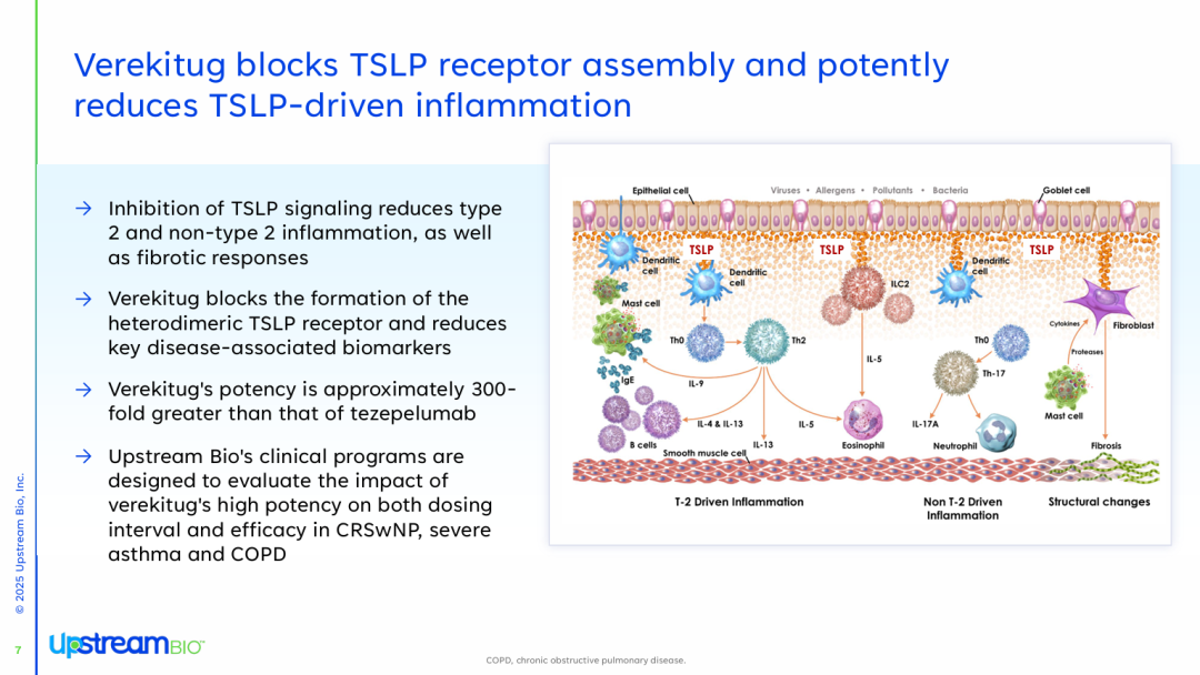 每季度一针！全球首创抗TSLP受体单抗II期研究取得积极结果医药新闻-ByDrug-一站式医药资源共享中心-医药魔方