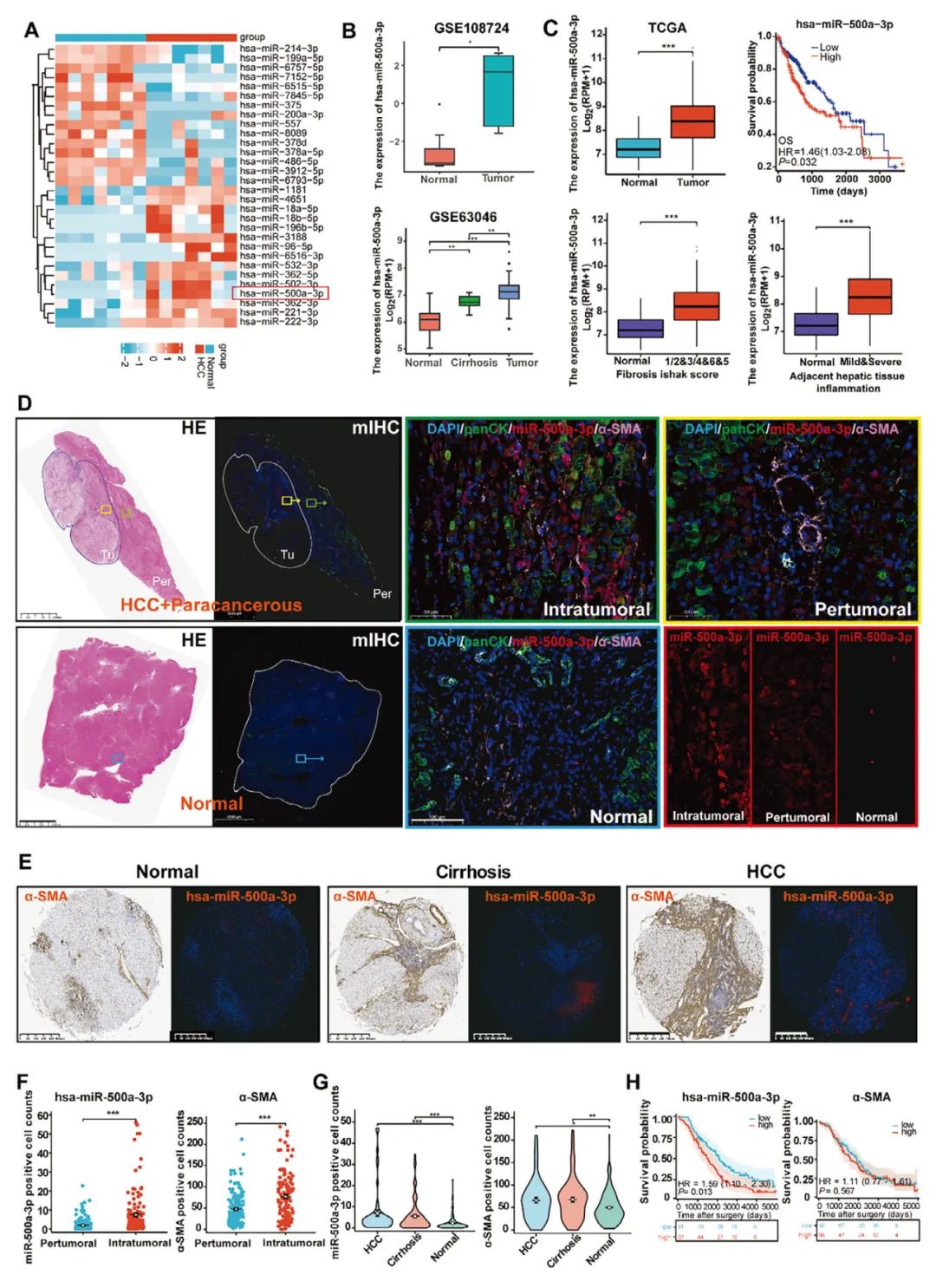 Adv Sci（IF14.3）丨癌细胞来源的外泌体miR-500a-3p调节肝星状细胞活化和免疫抑制微环境医药新闻-ByDrug-一站式医药资源共享中心-医药魔方