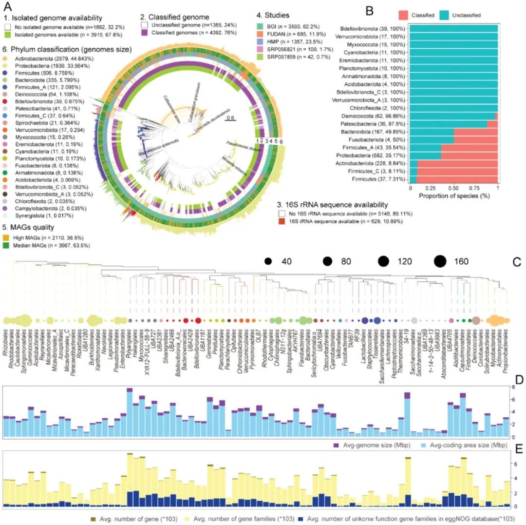 高分文献集解读：华大智造DNBSEQ平台赋能微生物组学研究医药新闻-ByDrug-一站式医药资源共享中心-医药魔方