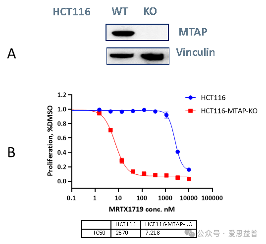 《爱求索》——爱思益普编辑株助力PRMT5/MTAP合成致死靶点，开创肿瘤靶向治疗新篇章医药新闻-ByDrug-一站式医药资源共享中心-医药魔方