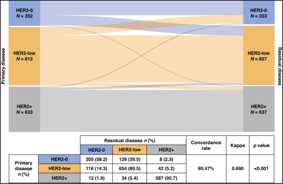王进京教授：乳腺癌HER2检测指南2024版更新解读之检测时机与异质性评估医药新闻-ByDrug-一站式医药资源共享中心-医药魔方