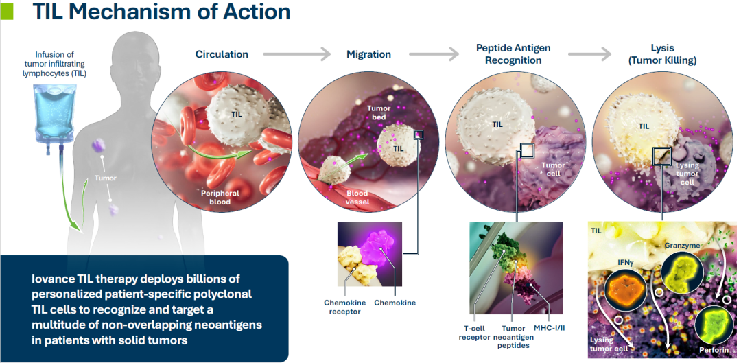 三优药讯｜细胞疗法迈入实体瘤时代，FDA批准首款TIL疗法医药新闻-ByDrug-一站式医药资源共享中心-医药魔方