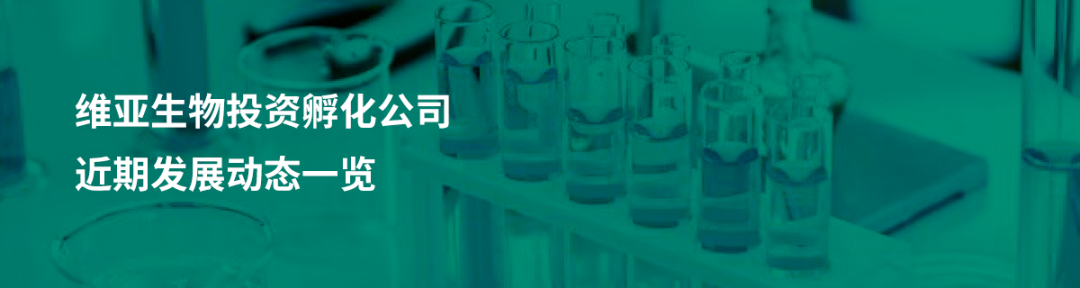 特科罗治疗雄激素性脱发全球首创新药临床二期a试验证实：TDM-105795促进雄激素性脱发患者毛发生长医药新闻-ByDrug-一站式医药资源 ...