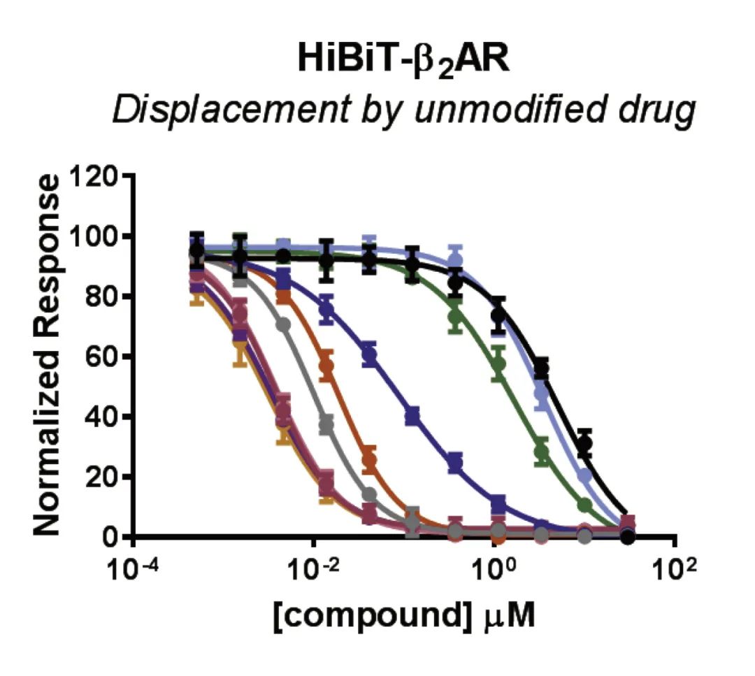 技术 | 利用HiBiT标签与NanoBRET™ TE技术研究GPCRs与配基结合医药新闻-ByDrug-一站式医药资源共享中心-医药魔方