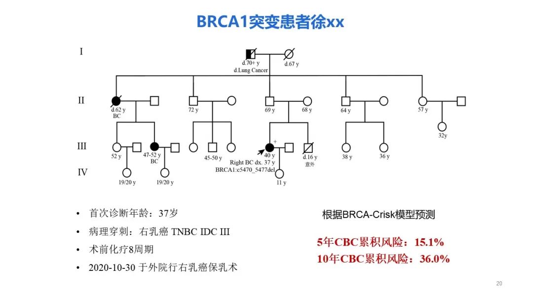 BRCA1/2突变个体对侧乳腺癌发病风险的精准预测医药新闻-ByDrug-一站式医药资源共享中心-医药魔方