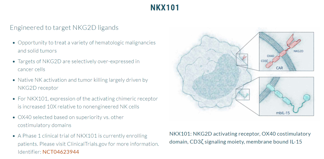 股价大跌30%！Nkarta暂停开发一款CAR-NK细胞疗法医药新闻-ByDrug-一站式医药资源共享中心-医药魔方