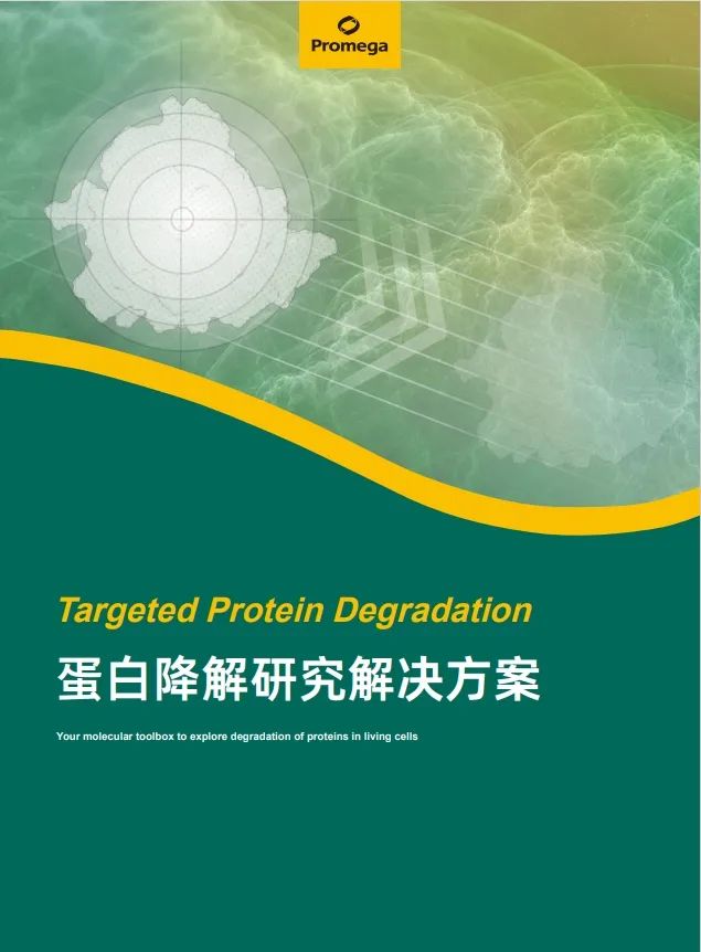 技术文章 | HiBiT标签技术实现内源性蛋白动态全解析：从定位、互作到降解医药新闻-ByDrug-一站式医药资源共享中心-医药魔方