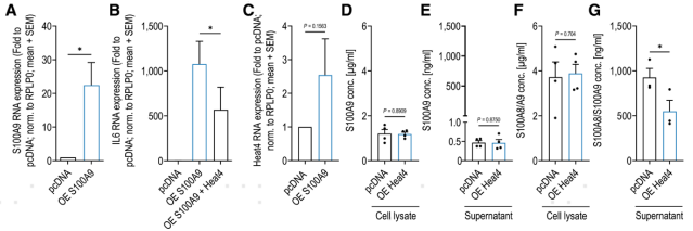 Circulation重磅：心衰治疗新靶点！HEAT4长非编码RNA或成突破口医药新闻-ByDrug-一站式医药资源共享中心-医药魔方