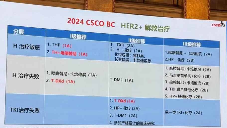 CSCO BC丨殷咏梅教授：HER2+晚期乳腺癌指南更新，未来格局展望ADC+时代医药新闻-ByDrug-一站式医药资源共享中心-医药魔方