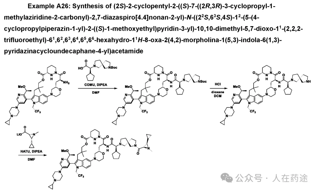 KRAS G12D（ON）抑制剂RMC-9805结构与临床前数据公开医药新闻-ByDrug-一站式医药资源共享中心-医药魔方