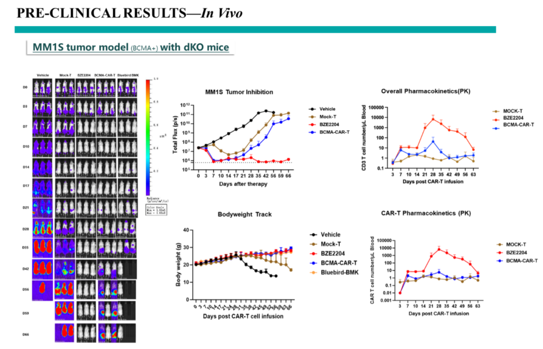 【AACR 2025】上细前沿突破一 | 全球首创6小时极速制备：JL-闪CAR-T™助力短周期、低成本、长药效细胞药物开发医药新闻-ByDrug-一站式医药资源共享中心-医药魔方