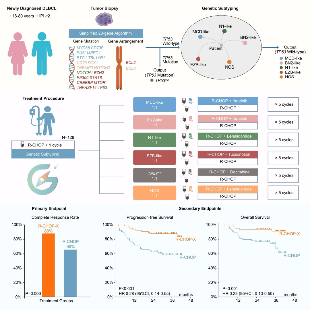 上海血液学研究所赵维莅教授团队发表弥漫性大B细胞淋巴瘤基于基因分型的R-CHOP-X方案的研究成果医药新闻-ByDrug-一站式医药资源共享中心-医药魔方