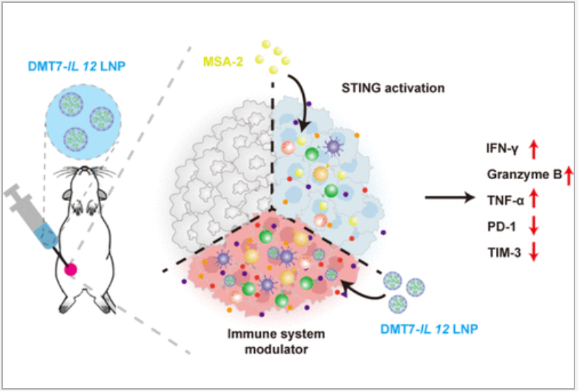 上海交大章雪晴团队开发LNP-mRNA+STING激动剂联合疗法，逆转T细胞耗竭，增强抗肿瘤效果医药新闻-ByDrug-一站式医药资源共享中心-医药魔方