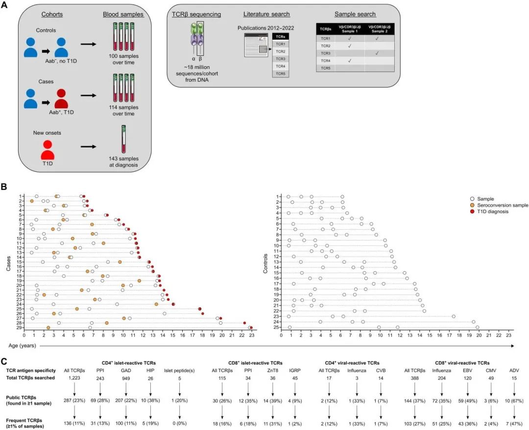 TCR探索：揭秘1型糖尿病背后的T细胞追踪医药新闻-ByDrug-一站式医药资源共享中心-医药魔方