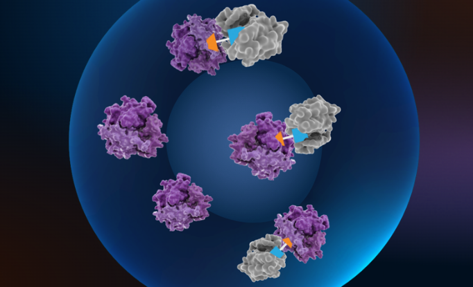里程碑！PROTAC之后，RIPTAC首次人体试验数据公布医药新闻-ByDrug-一站式医药资源共享中心-医药魔方