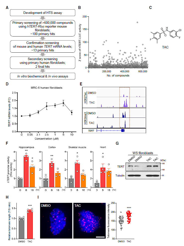 Cell：抗衰老新靶点——TERT医药新闻-ByDrug-一站式医药资源共享中心-医药魔方