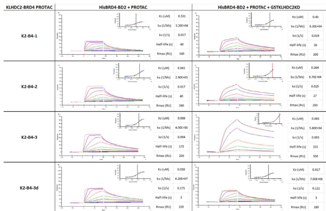 PROTAC赛道卡脖子问题如何突破？医药新闻-ByDrug-一站式医药资源共享中心-医药魔方