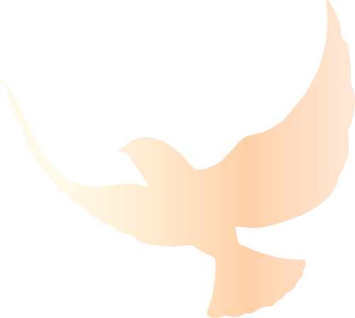 墨卓MobiNova®-100 | 高性价比国产单细胞测序，助力科研创新与临床突破医药新闻-ByDrug-一站式医药资源共享中心-医药魔方