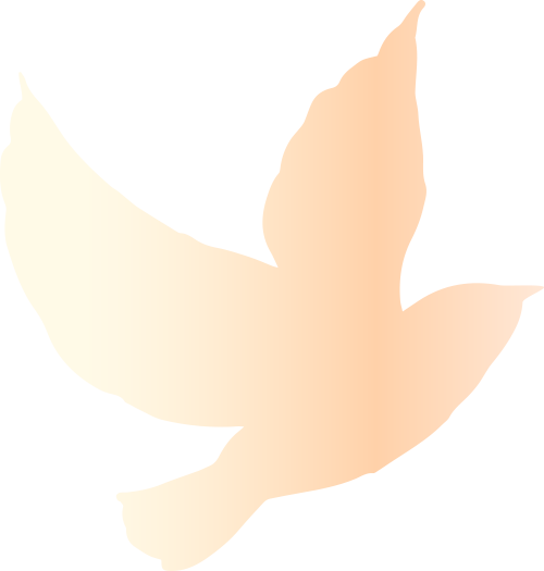 墨卓MobiNova®-100 | 高性价比国产单细胞测序，助力科研创新与临床突破医药新闻-ByDrug-一站式医药资源共享中心-医药魔方