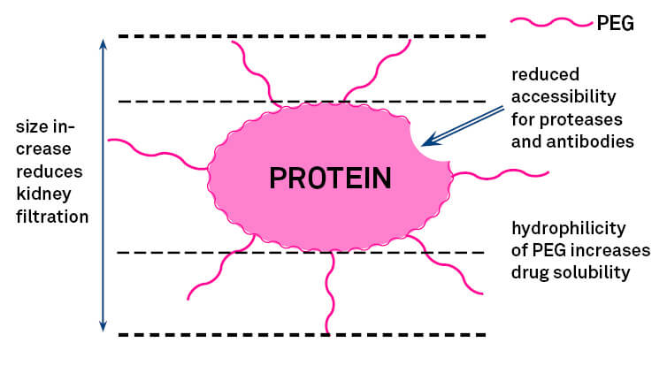 聚乙二醇PEG，药物修饰的“利器”医药新闻-ByDrug-一站式医药资源共享中心-医药魔方