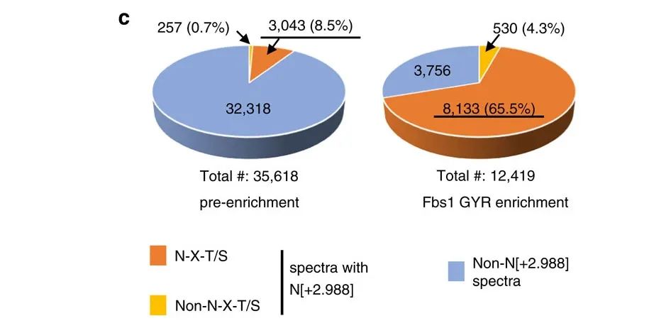 新品发布：N-糖肽结合蛋白——显著提升 N-糖蛋白分析效果医药新闻-ByDrug-一站式医药资源共享中心-医药魔方