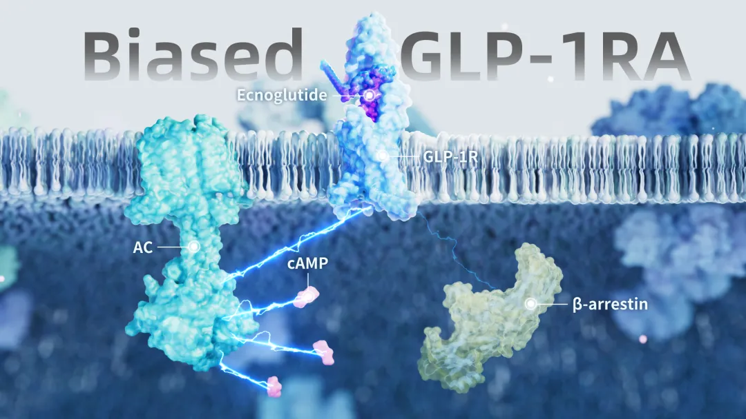 基于32项重磅研究，深度解析GLP-1代谢治疗重大突破！医药新闻-ByDrug-一站式医药资源共享中心-医药魔方