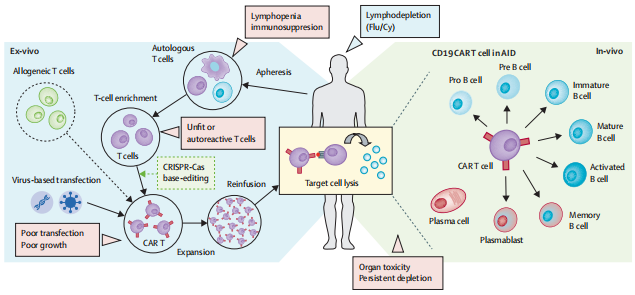 《柳叶刀》重磅综述 | CAR-T细胞疗法在自身免疫疾病中的应用医药新闻-ByDrug-一站式医药资源共享中心-医药魔方