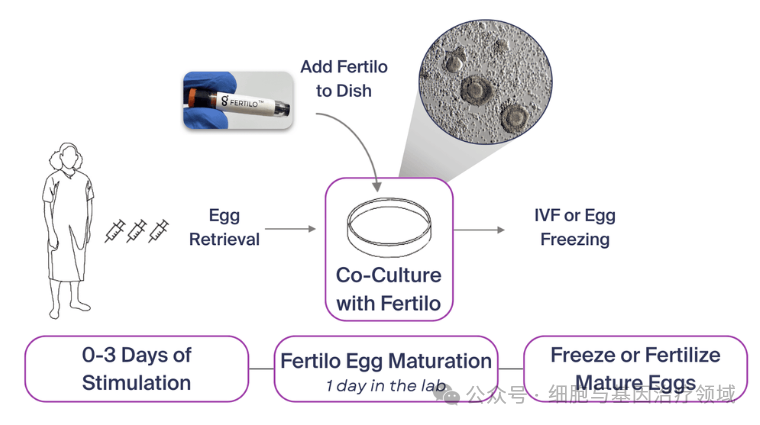 FDA首次批准诱导多能干细胞（iPSC）疗法进入Ⅲ期临床试验医药新闻-ByDrug-一站式医药资源共享中心-医药魔方