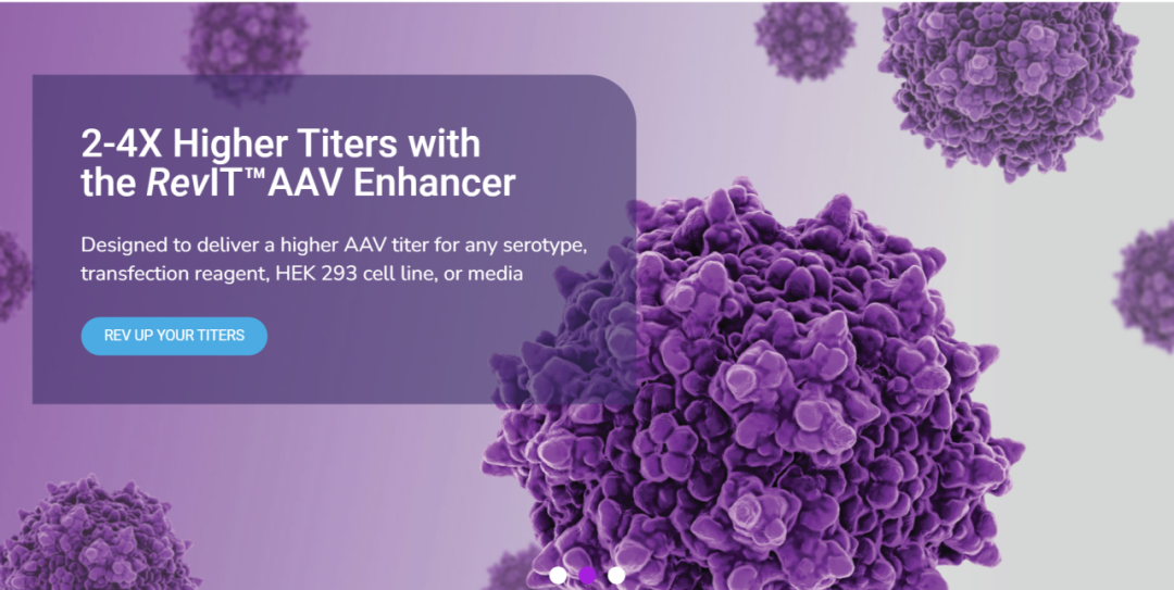 GMP RevIT™ AAV Enhancer新上市，助力于AAV病毒GMP生产！医药新闻-ByDrug-一站式医药资源共享中心-医药魔方