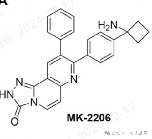 AKT抑制剂研究进展及筛选策略医药新闻-ByDrug-一站式医药资源共享中心-医药魔方