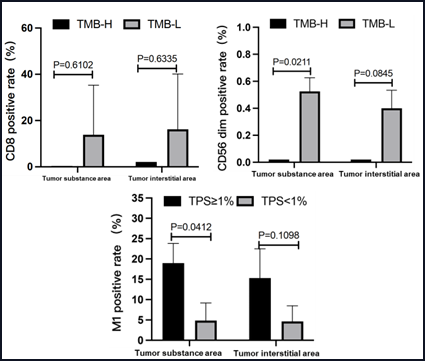 ORR 50%，DCR 100%！特瑞普利单抗联合化疗用于晚期胸腺癌一线治疗潜力显现医药新闻-ByDrug-一站式医药资源共享中心-医药魔方