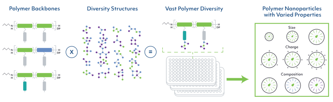 6.44亿美元！GenEdit与基因泰克合作开发自身免疫病核酸药物医药新闻-ByDrug-一站式医药资源共享中心-医药魔方