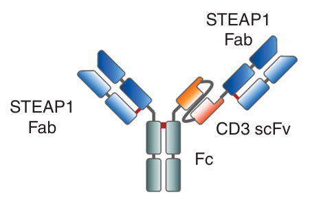 2024年11月 | 15款创新药进入III期，7款来自中国药企医药新闻-ByDrug-一站式医药资源共享中心-医药魔方
