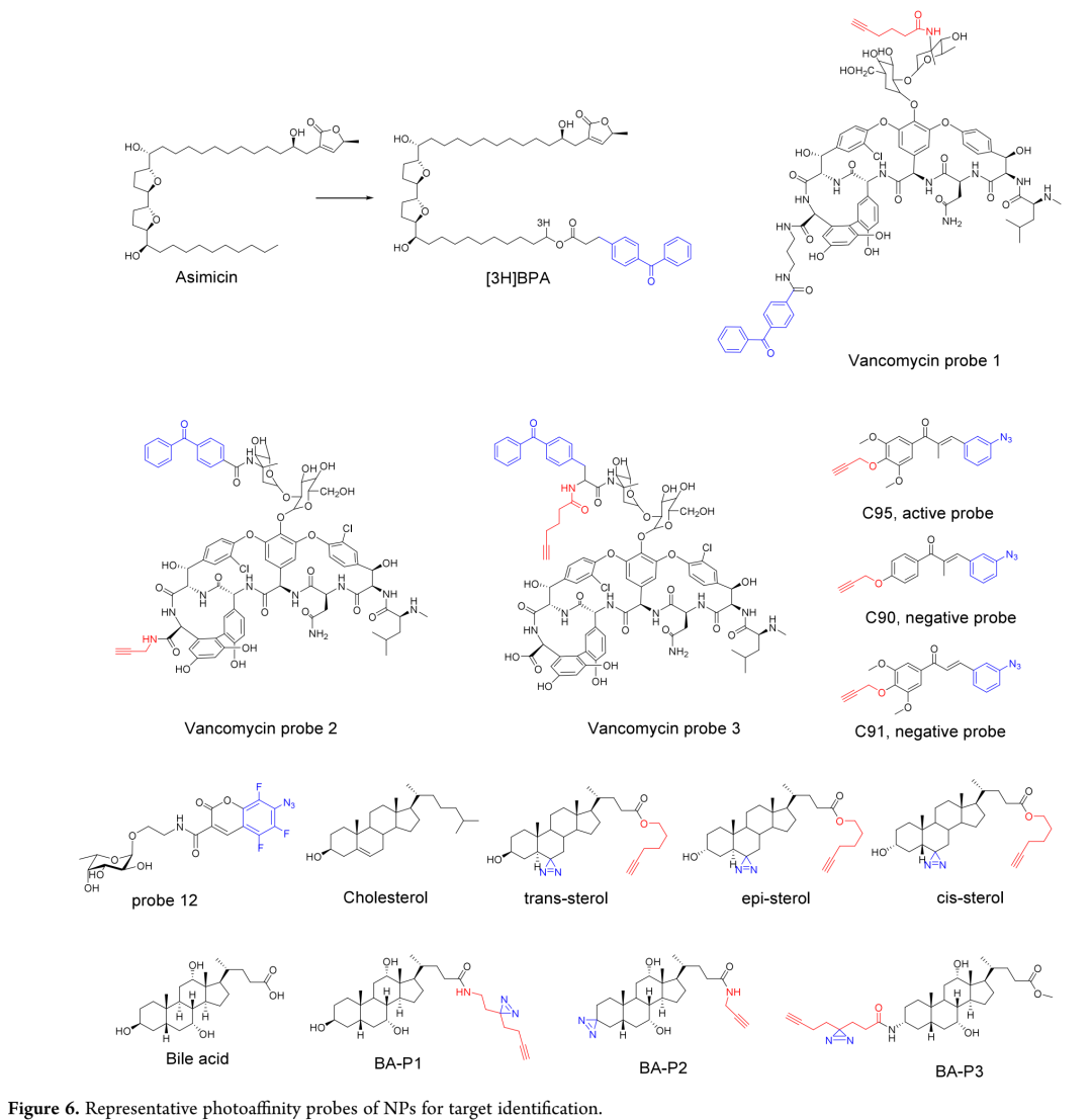 J Med Chem | 天然产物的标记和无标记靶点鉴定医药新闻-ByDrug-一站式医药资源共享中心-医药魔方