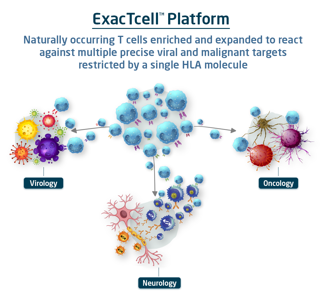 融资5000万美元！推进T细胞疗法研发医药新闻-ByDrug-一站式医药资源共享中心-医药魔方