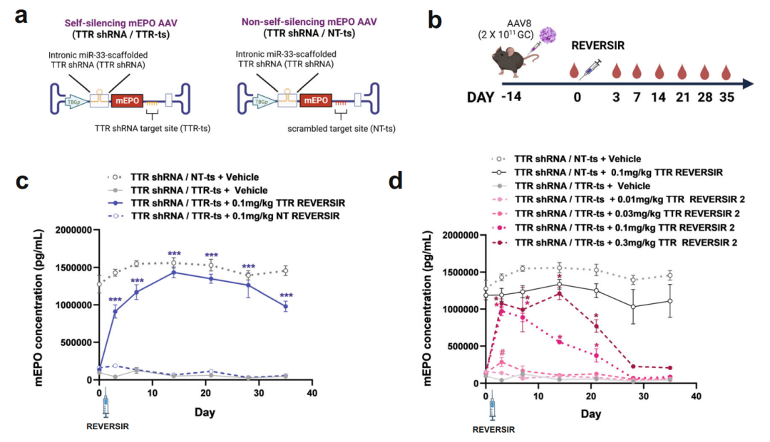 多方位AAV载体优化，点燃基因治疗新产业革命医药新闻-ByDrug-一站式医药资源共享中心-医药魔方