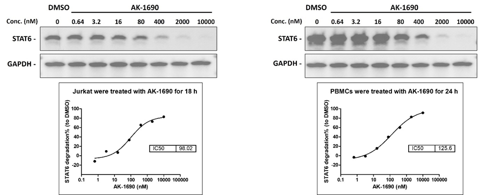 PROTAC非肿瘤领域突破：以Kymera专利分子为例的STAT6降解剂体外评价体系指南医药新闻-ByDrug-一站式医药资源共享中心-医药魔方