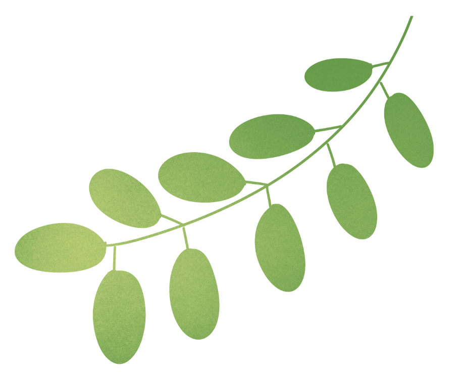 全球首个AAV双抗——星眸生物XMVA09注射液II期临床顺利启动！医药新闻-ByDrug-一站式医药资源共享中心-医药魔方