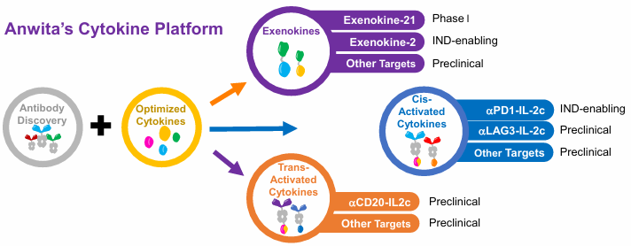 君实生物引进的PD-1/IL-2融合蛋白申报临床医药新闻-ByDrug-一站式医药资源共享中心-医药魔方