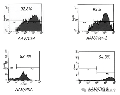 AAV基因疗法最新盘点 | 国内3款AAV基因疗法进入III期临床，37款IND受理/获批医药新闻-ByDrug-一站式医药资源共享中心-医药魔方
