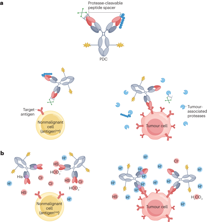 最全！15种XDC药物全类型梳理及发展趋势预测医药新闻-ByDrug-一站式医药资源共享中心-医药魔方