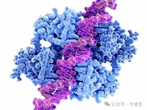 EMBO：抑癌基因p53的新功能医药新闻-ByDrug-一站式医药资源共享中心-医药魔方