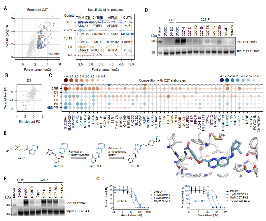 Science突破：辉瑞合作开发一款AI模型，或加速药物研发医药新闻-ByDrug-一站式医药资源共享中心-医药魔方