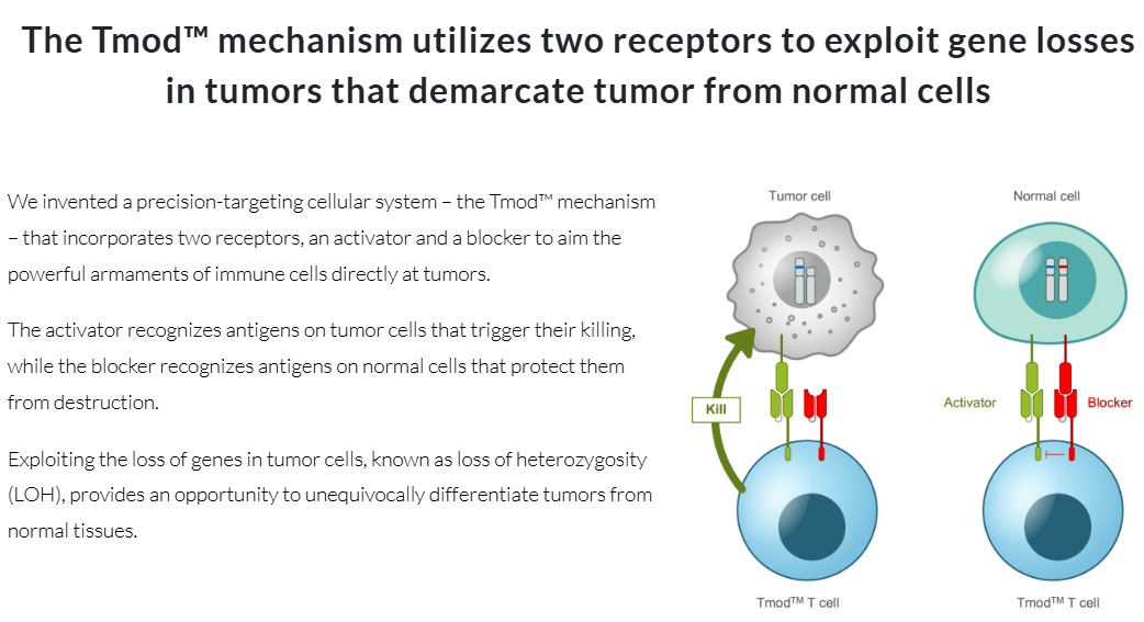 8000万美元C轮融资，开发实体瘤细胞治疗医药新闻-ByDrug-一站式医药资源共享中心-医药魔方