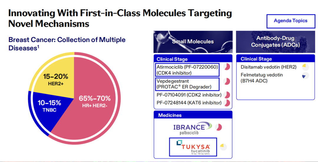 辉瑞：吞掉Seagen后，是如何消化的医药新闻-ByDrug-一站式医药资源共享中心-医药魔方