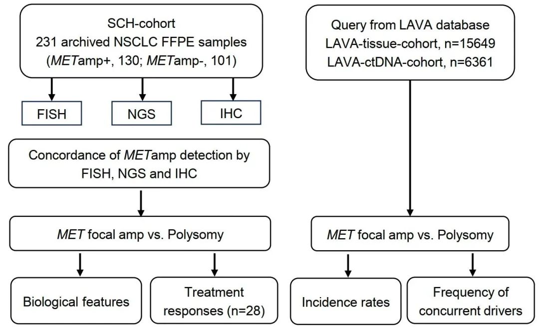 【精益求精- MET点扩增】向婵副研究员等从MET扩增人群筛选MET TKI更优获益患者医药新闻-ByDrug-一站式医药资源共享中心-医药魔方