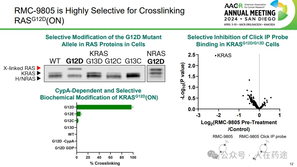 KRAS G12D（ON）抑制剂RMC-9805结构与临床前数据公开医药新闻-ByDrug-一站式医药资源共享中心-医药魔方