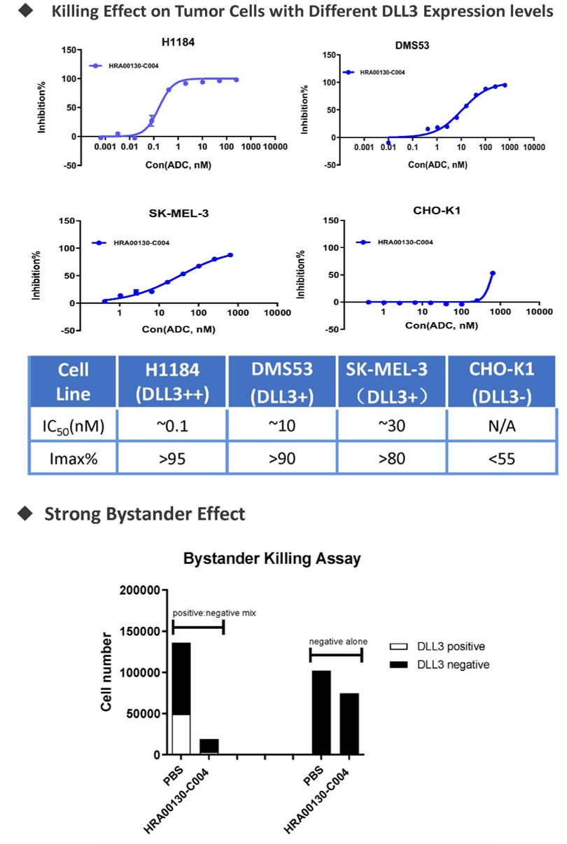 2024 AACR｜恒瑞医药一种新型DLL3-ADC药物HRA00130-C004研究数据亮相医药新闻-ByDrug-一站式医药资源共享中心-医药魔方