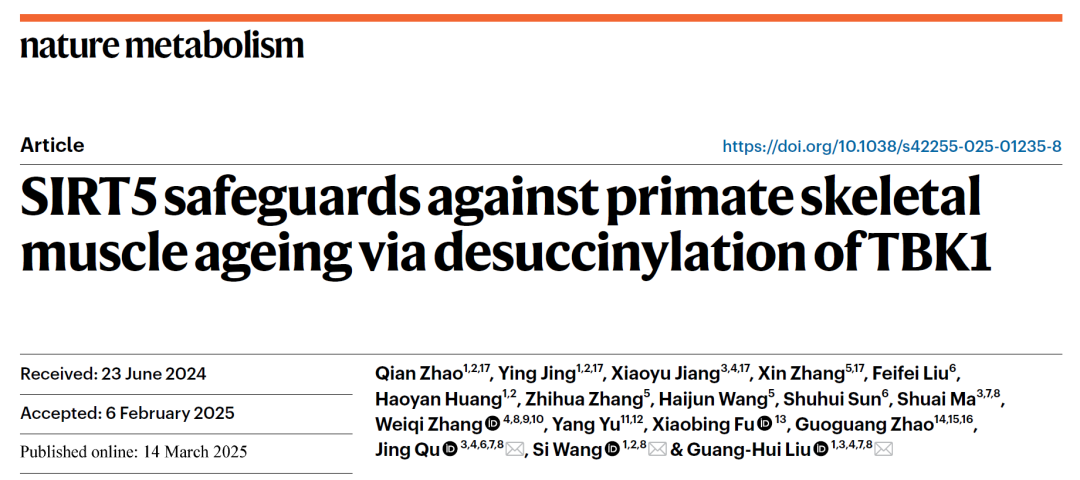 宣医科创|宣武医院王思教授团队合作开发延缓骨骼肌衰老的基因疗法医药新闻-ByDrug-一站式医药资源共享中心-医药魔方